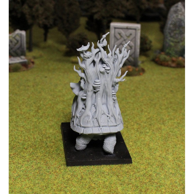 Rey enano del bosque en tortuga