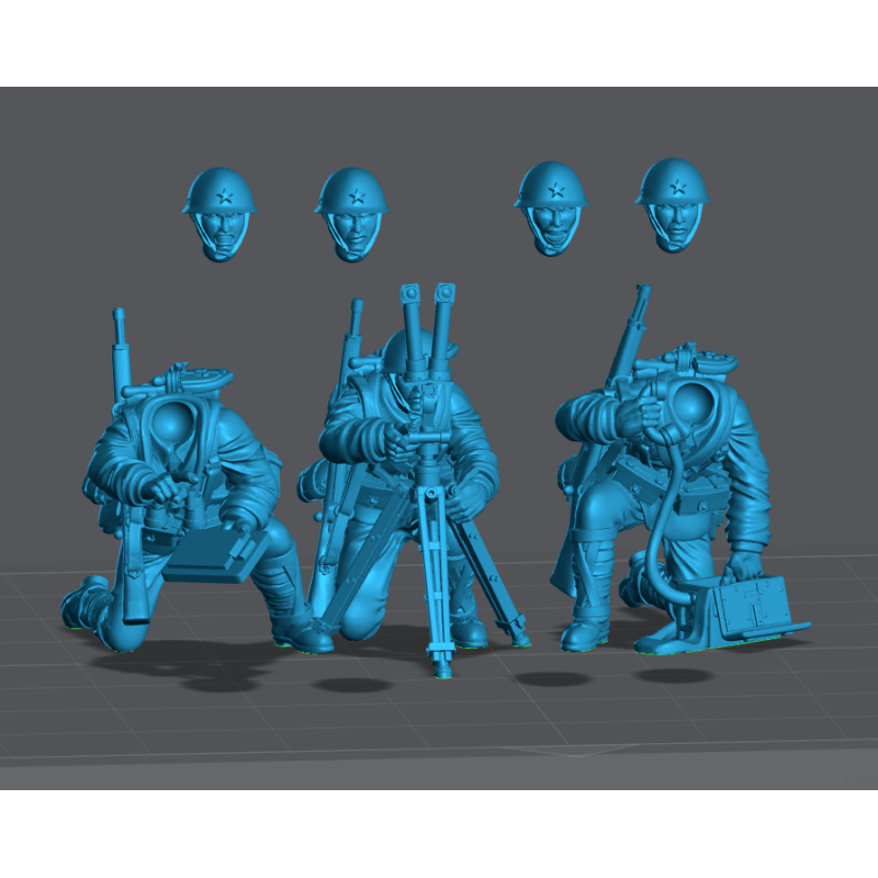 Japanese observation team